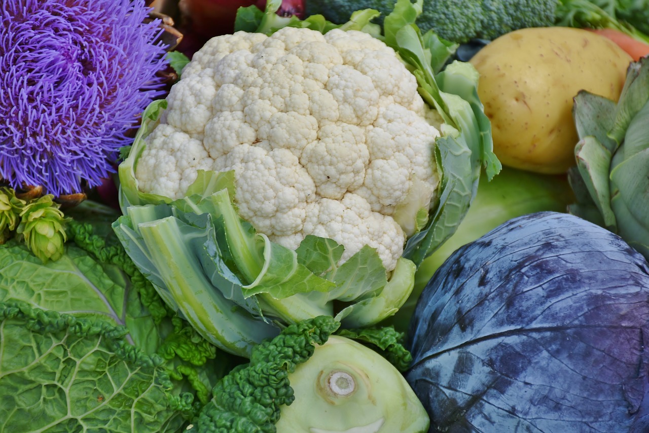 Verduras de invierno | Condislife
